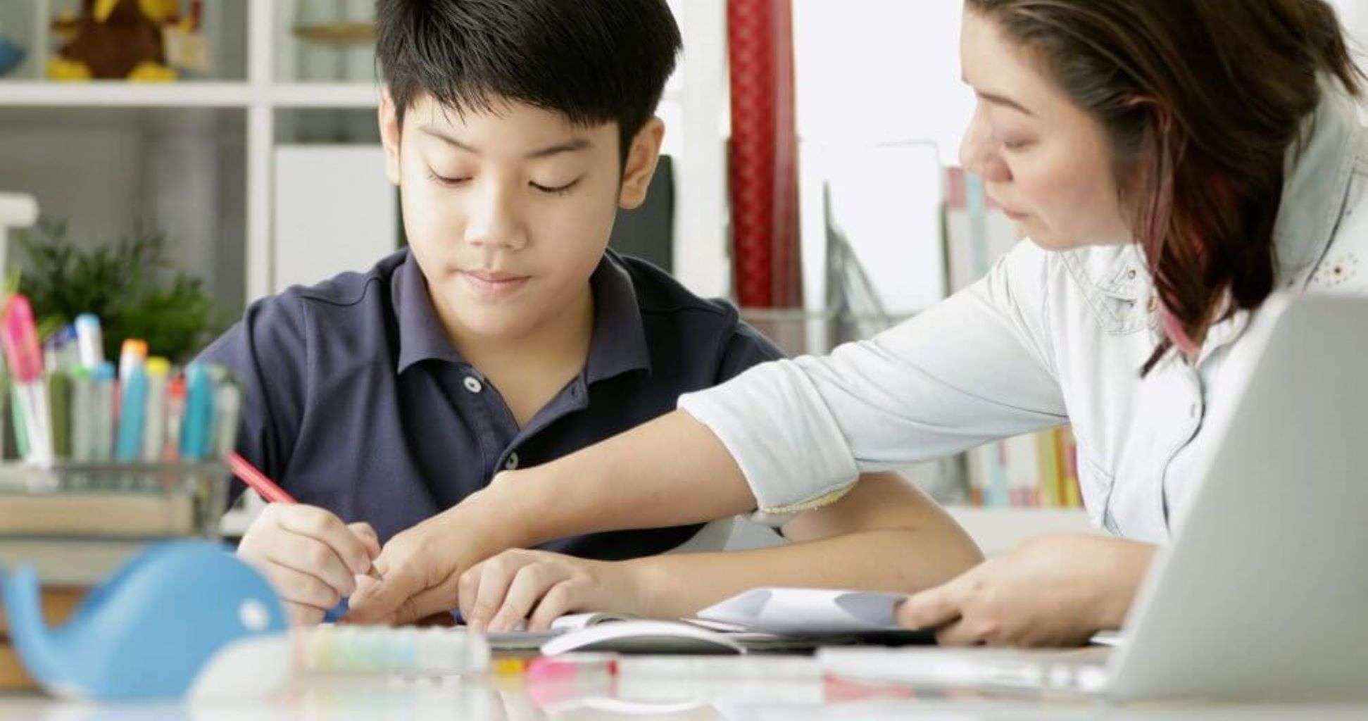 home tutor trainer teacher Bareilly & Moradabad